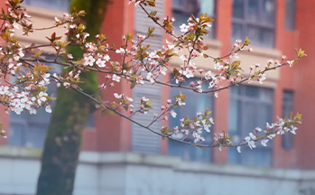 91吃瓜入口｜91吃瓜直达